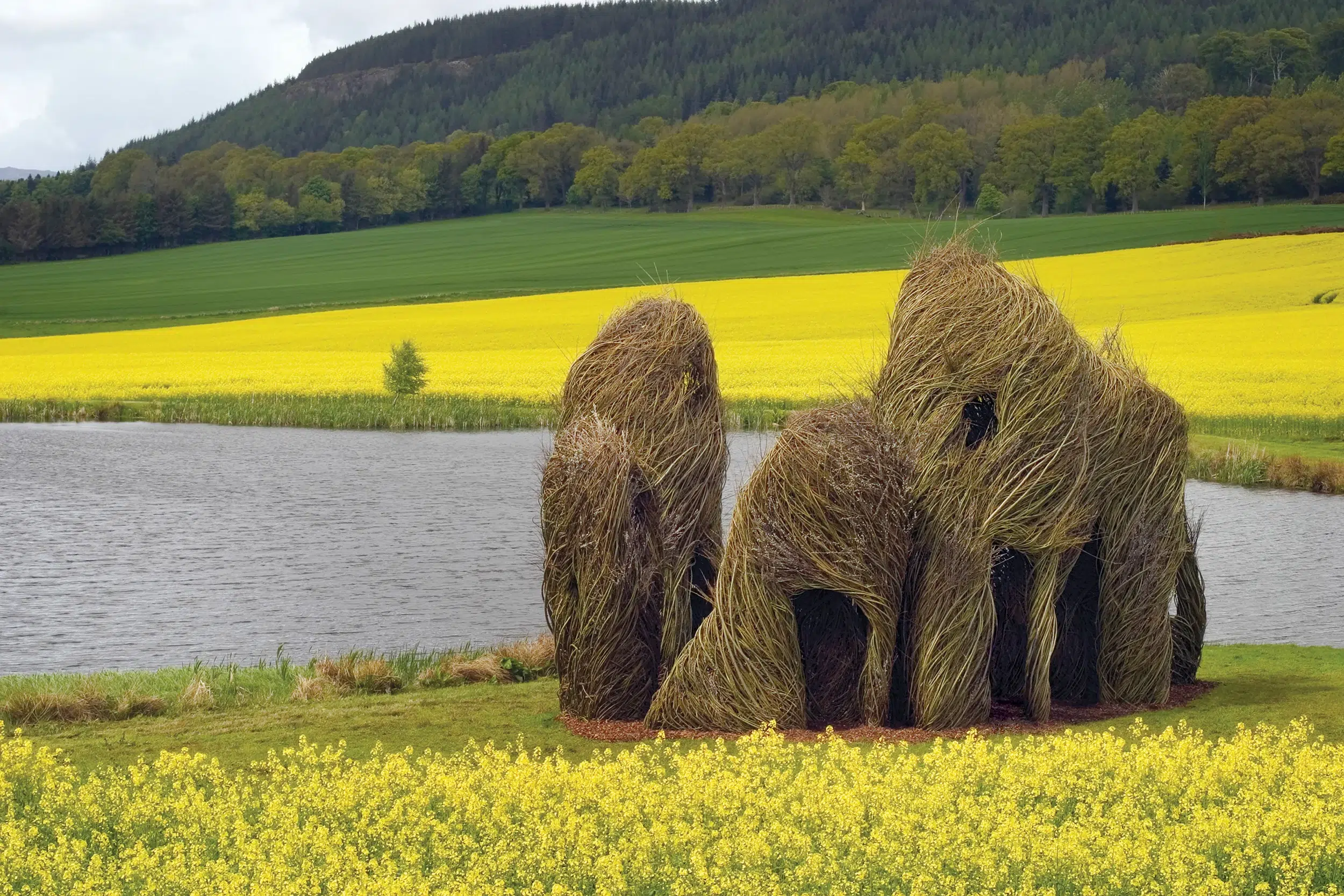 The Best Design Is Grounded in Natural Materials – Frederic Magazine